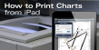 How to print charts from aviation apps - iPad Pilot News